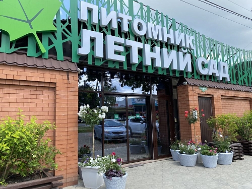 Летний сад - интернет-магазин растений с реальными фото — Питомник ...